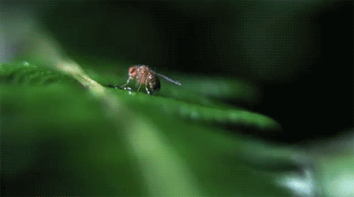 Gifs en Vrac 40